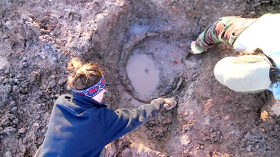 Digging for Britain | News | University of Leicester