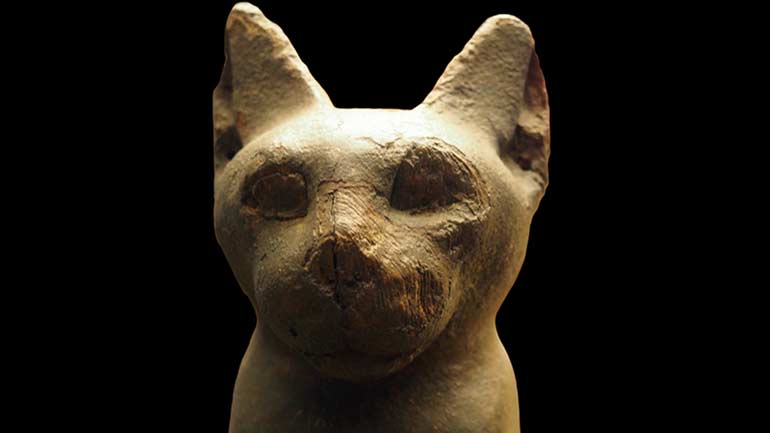 Animal mummies unwrapped: hi-res 3D X-rays reveal secrets of life and ...