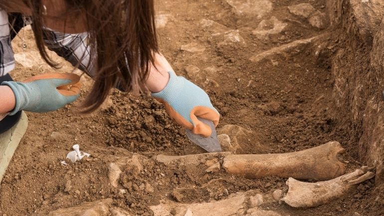Digging for Britain: Leicester Archaeology projects to feature on BBC ...