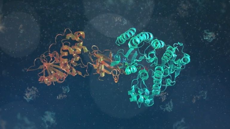 Pioneering technique could unlock targeted treatments for cancer | News ...