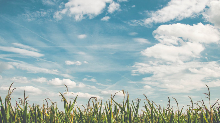 Satellite data reveals source of increased global atmospheric methane ...