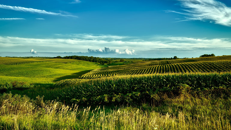 Scientists are discovering how land management impacts the environment ...