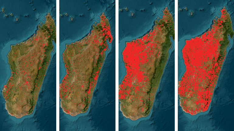 Leicester researcher examines differing factors behind forest fires ...