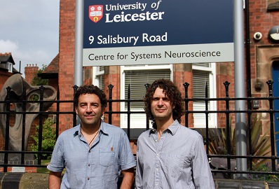 Researchers make spectacular discovery of how learning takes place and ...