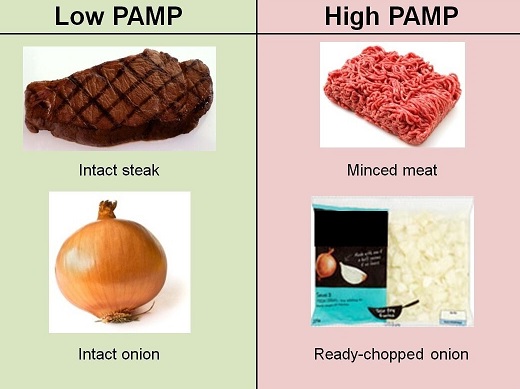 Molecules in processed foods could unlock key to healthier diets | News ...