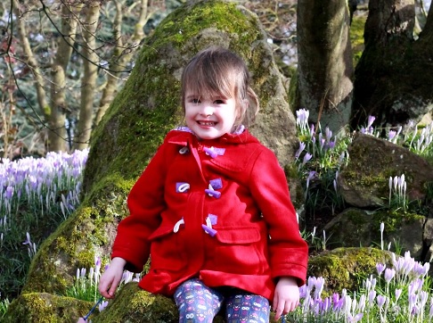 Spring flower viewing made annual event at Botanic Garden | News ...