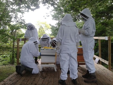 Students create a buzz by providing new homes for bees | News ...