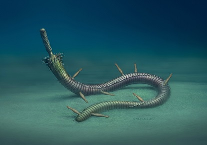 Study into infested fossil worms shows ancient examples of symbiosis ...