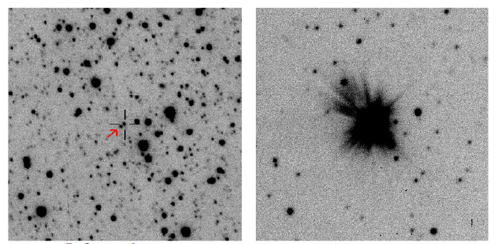 Scientists discover one of the most luminous new stars ever | News ...