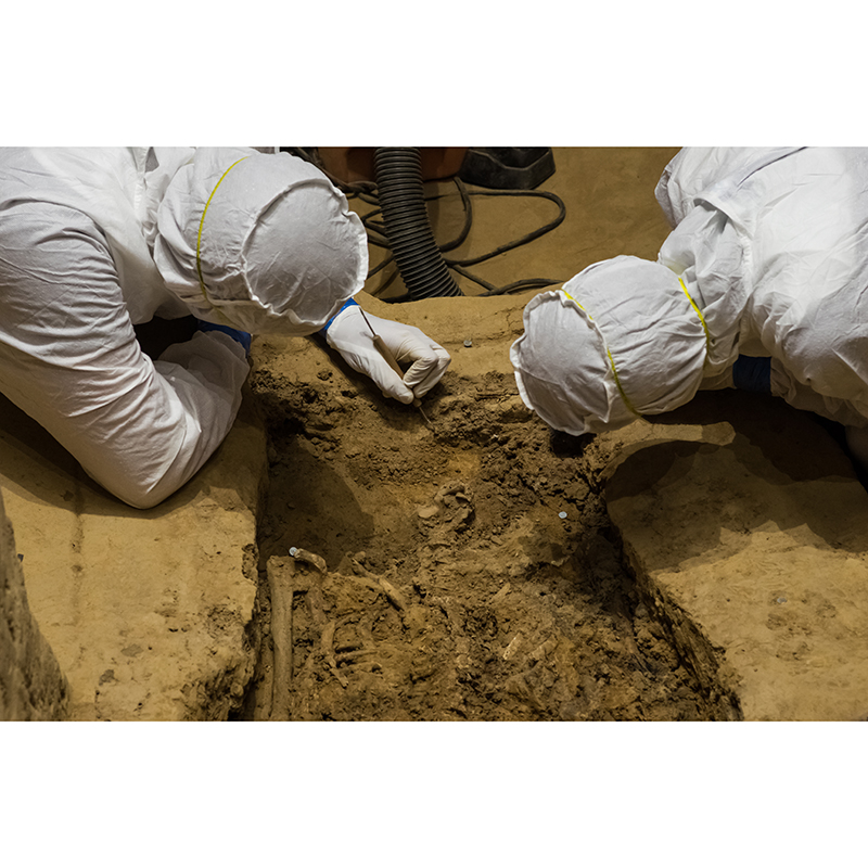 Richard III Geneticist leads DNA search to identify the man who shaped ...
